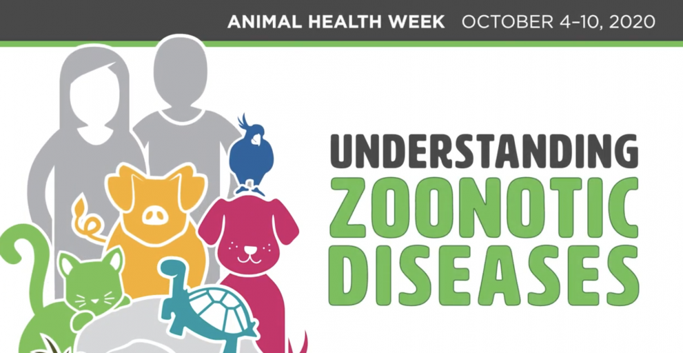 Animal Health Week 2020 - Understanding Zoonotic Diseases: Community ...